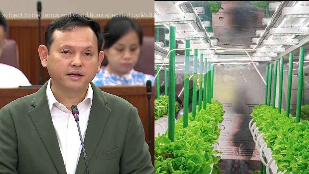 Singapore to inject S$70 million into local farming to bolster food ...